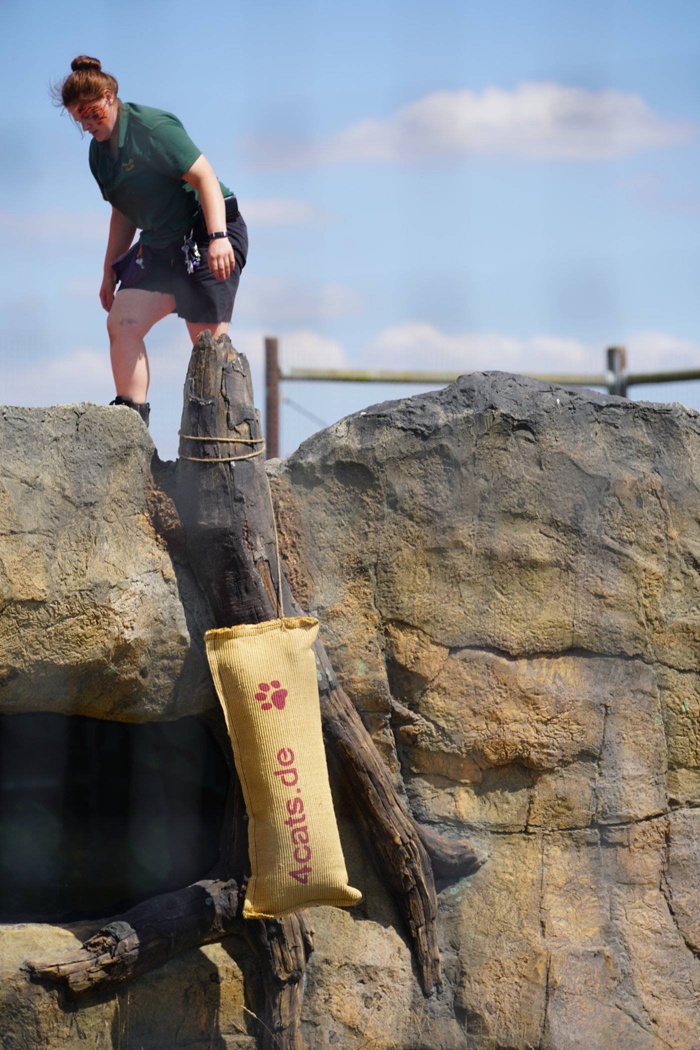 Global Tiger Day 2019 at Hamerton Zoo Park - Katzenworld